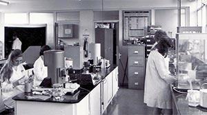 The History of Kemet International - Kemet